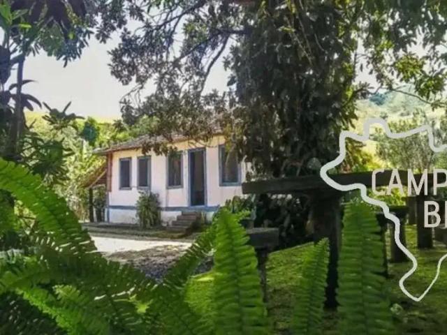 Fazenda para Venda em Cruzeiro/SP Área Rural de Cruzeiro 3 Quartos