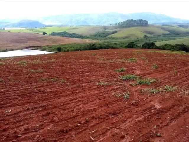 Fazenda para Venda em Cruzília/MG Zona Rural