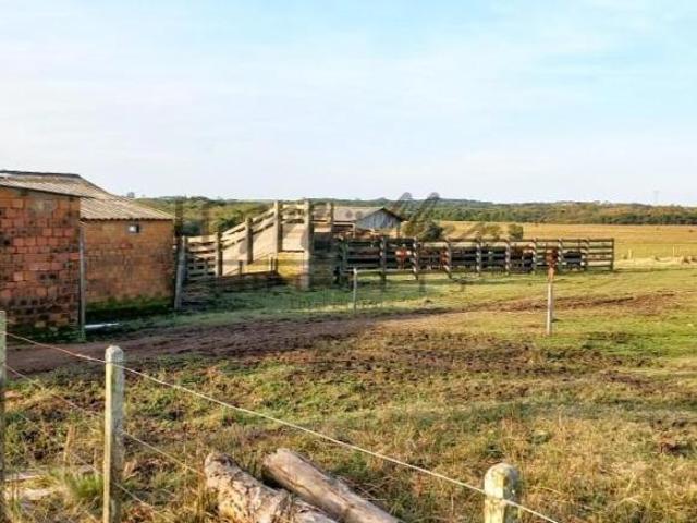 Fazenda para venda em Cristal