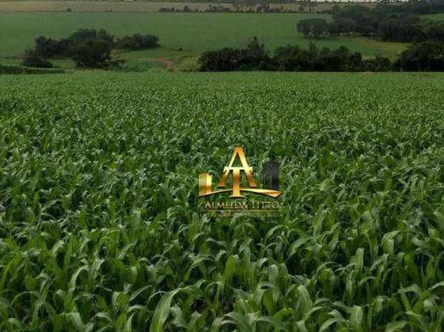 Fazenda para Venda em Cristianópolis/GO Zona Rural 1 Quartos