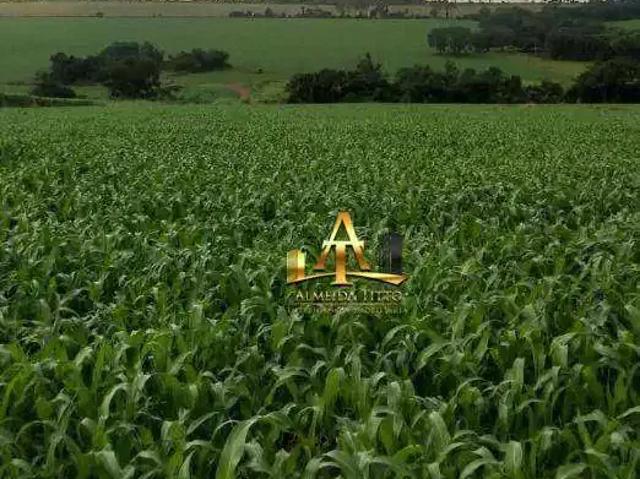 Fazenda para Venda em Cristianópolis/GO Zona Rural 1 Quartos