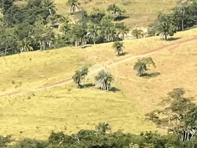 Fazenda para Venda em Cromínia/GO Zona Rural