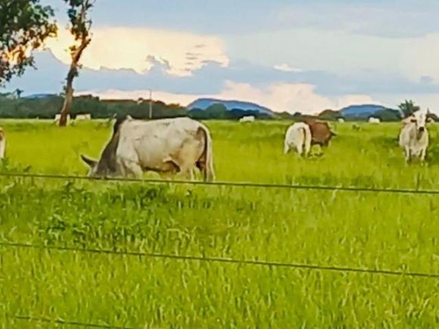 Fazenda para venda em Cuiabá