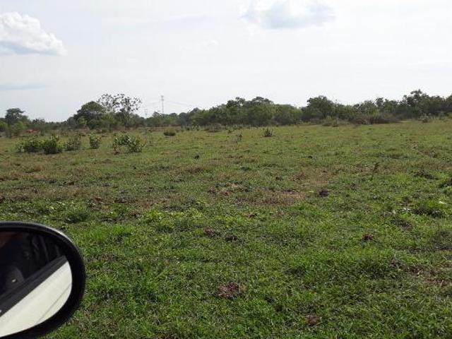Fazenda para venda em Cuiabá