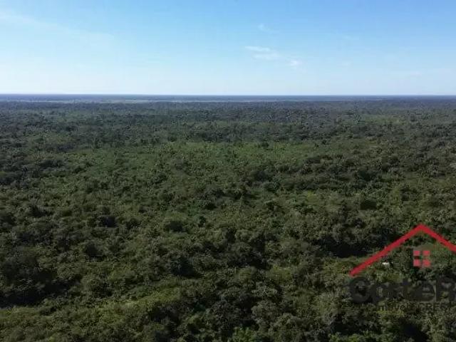 Fazenda para Venda em Cuiabá/MT Centro Norte