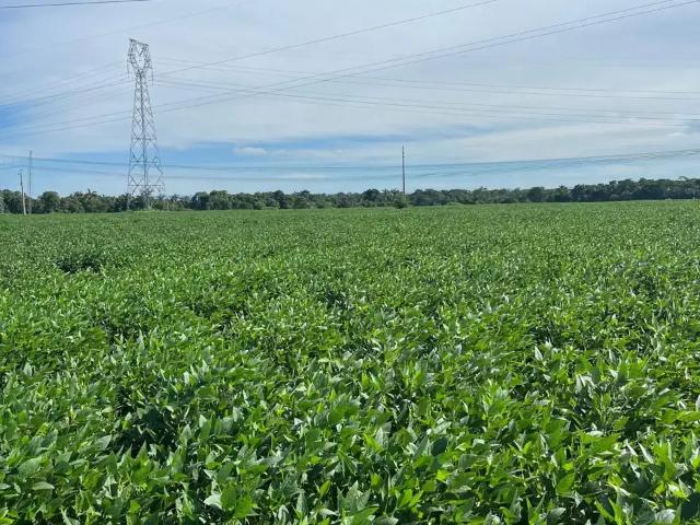 Fazenda para Venda em Cuiabá/MT Alvorada
