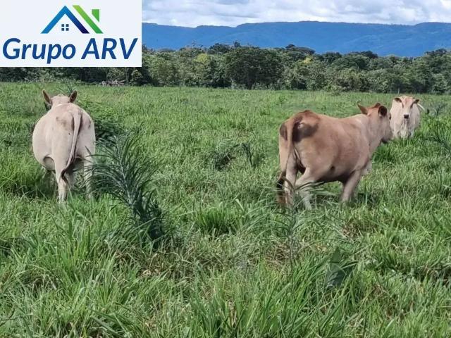 Fazenda para Venda em Cuiabá/MT Araés