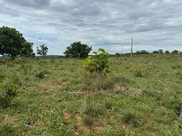 Fazenda para Venda em Cuiabá/MT Jardim Vitória