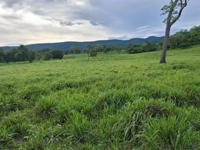 Fazenda para Venda em Cuiabá/MT Jardim Vitória