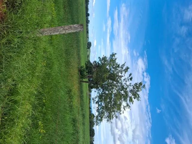 Fazenda para Venda em Cuiabá/MT Jardim Vitória