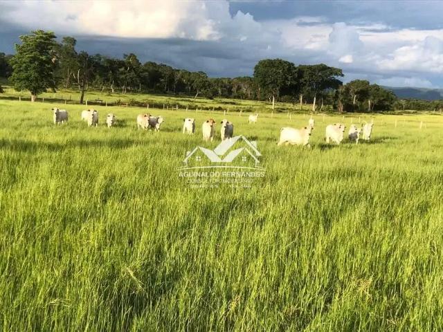 Fazenda para Venda em Cuiabá/MT Raizama