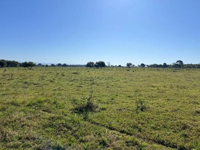 Fazenda para Venda em Cuiabá/MT Zona Rural