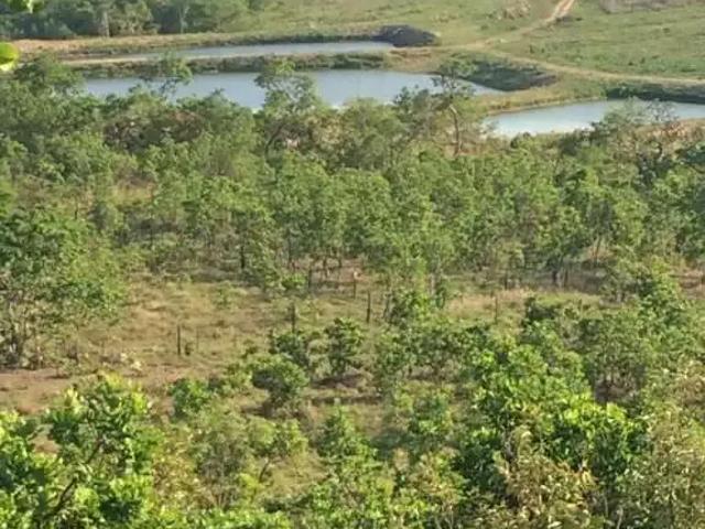 Fazenda para Venda em Cuiabá/MT Zona Rural 2 Quartos