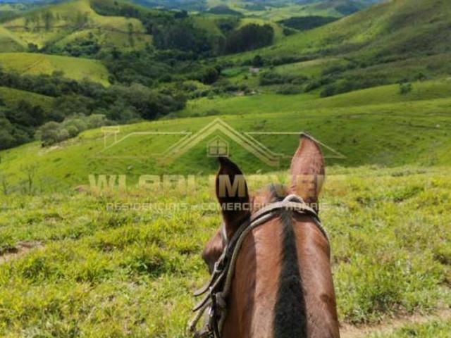 Fazenda para Venda em Cunha, 20 km de Cunha