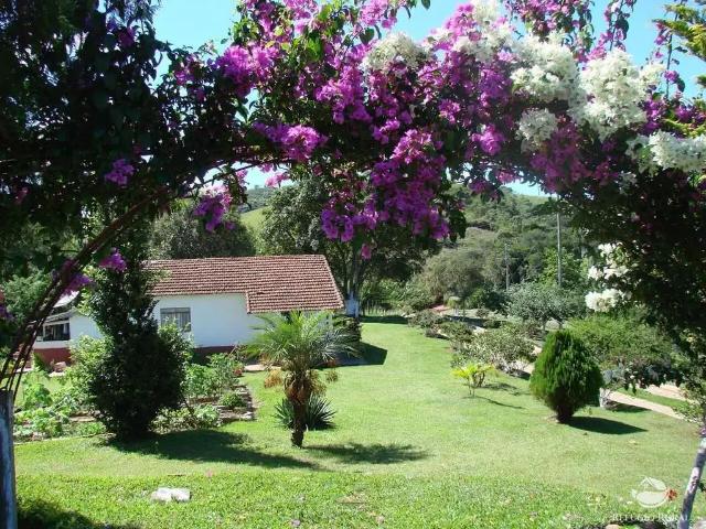 Fazenda para Venda em Cunha/SP Centro