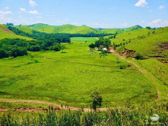 Fazenda para Venda em Cunha/SP Centro