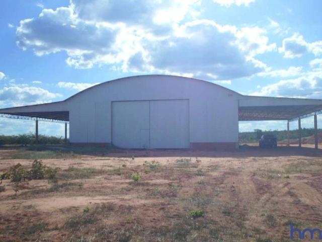Fazenda para Venda em Currais/PI Centro