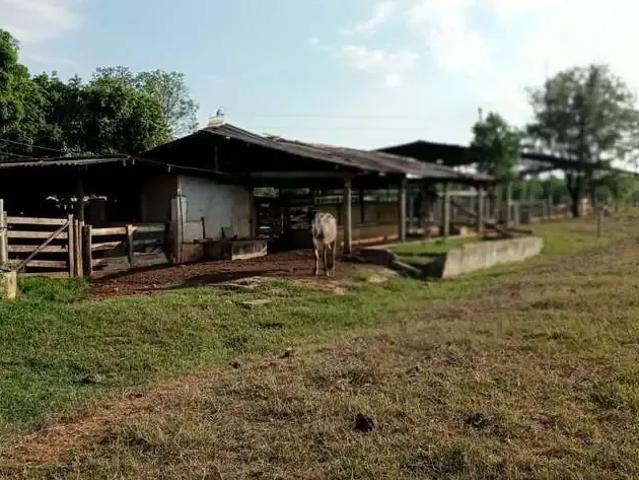 Fazenda para Venda em Curvelo/MG Boa Esperança 1 Quartos