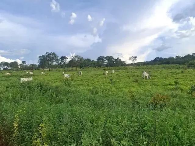 Fazenda para Venda em Curvelo/MG Área Rural de Curvelo