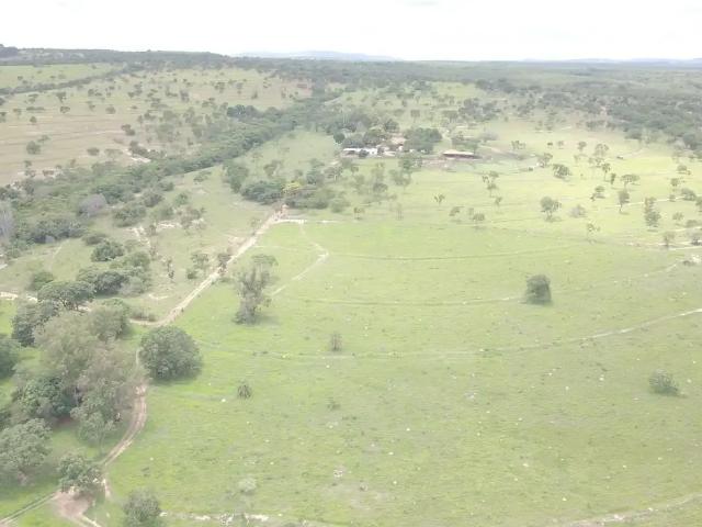 Fazenda para Venda em Curvelo/MG Zona Rural