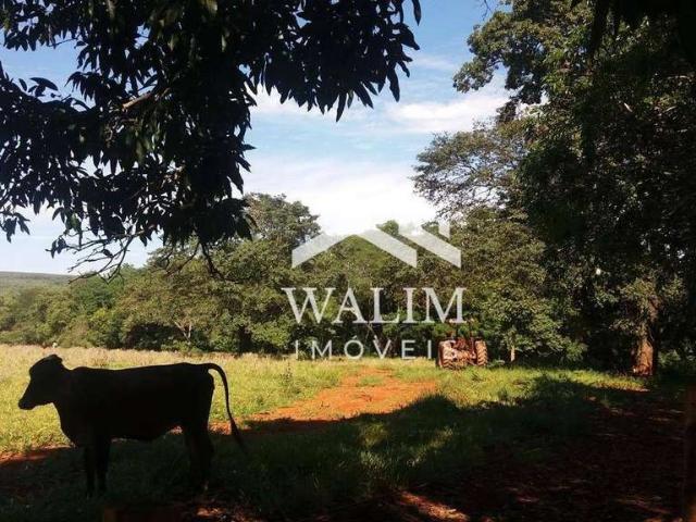 Fazenda para Venda em Curvelo/MG Zona Rural 5 Quartos