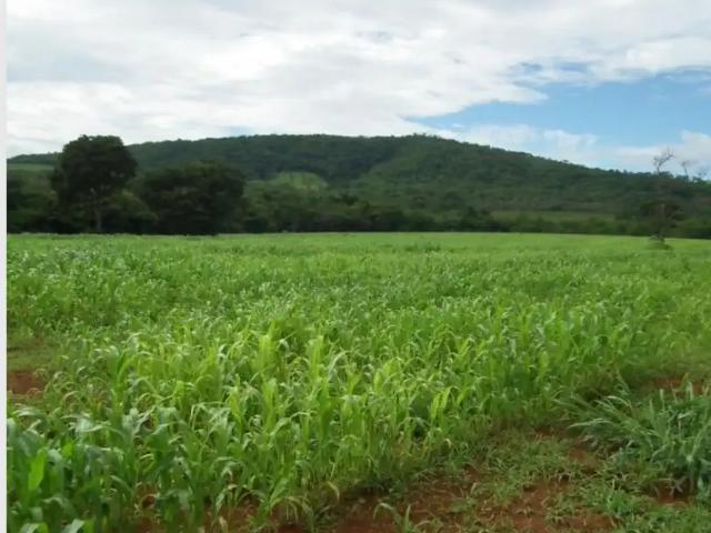 Fazenda para Venda em Curvelo/MG Zona Rural