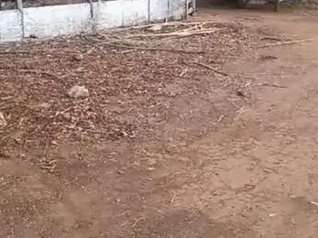 Fazenda para Venda em Amaralina/GO Zona Rural