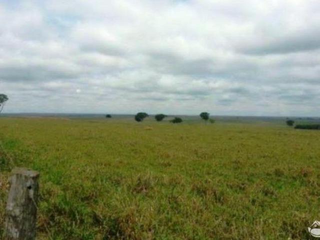 Fazenda para venda em Amolar, Corumbá