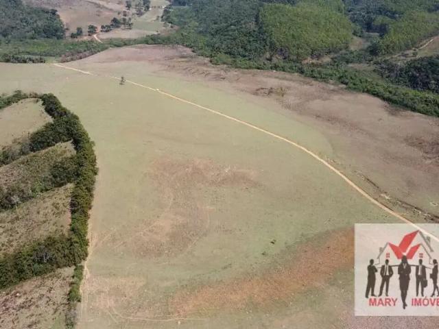 Fazenda para Venda em Antônio Carlos/MG Centro
