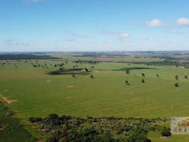 Fazenda para Venda em Antônio João/MS Centro