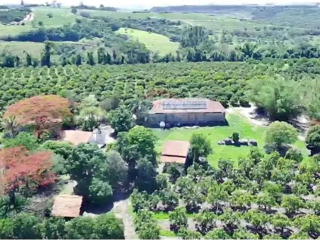 Fazenda para Venda em Analândia/SP Centro 8 Quartos