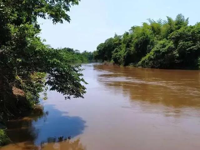 Fazenda para Venda em Anastácio/MS Zona Rural