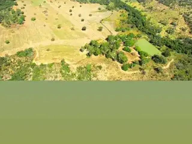 Fazenda para Venda em Anápolis/GO Área Rural de Anápolis 4 Quartos