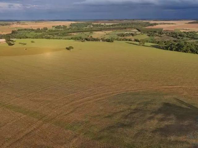 Fazenda para Venda em Anápolis/GO Jundiaí 1 Quartos