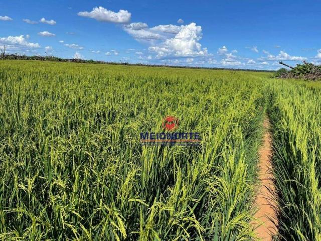 Fazenda para Venda em Anapu/PA Zona Rural 3 Quartos