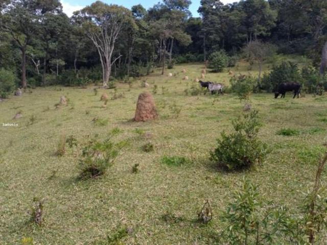 Fazenda para venda em Andrelândia
