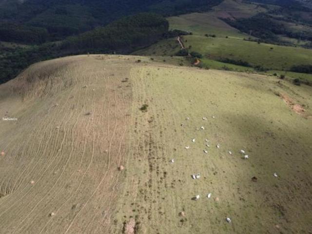 Fazenda para venda em Andrelândia