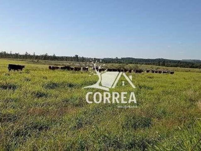 Fazenda para venda em Angatuba