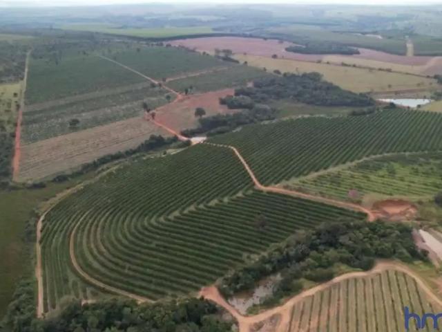 Fazenda para Venda em Angatuba/SP Zona Rural