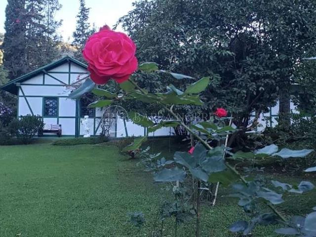 Fazenda para Venda em Angelina/SC Rancho De Tábuas 2 Quartos