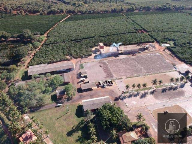 Fazenda para Venda em Anguera/BA Zona Rural