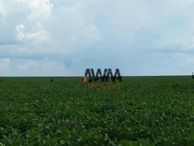 Fazenda para venda em Anhanguera, Goiânia
