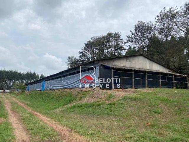 Fazenda para venda em Anhembi