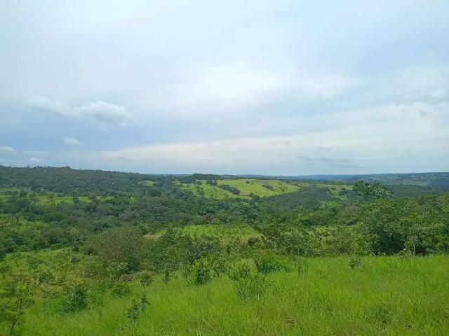 Fazenda para Venda em Abadiânia/GO Zona Rural 6 Quartos