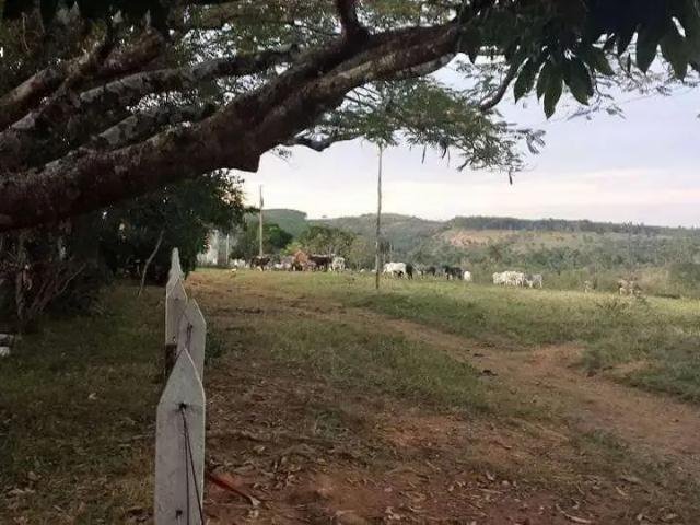 Fazenda para Venda em Abaeté/MG Zona Rural 1 Quartos