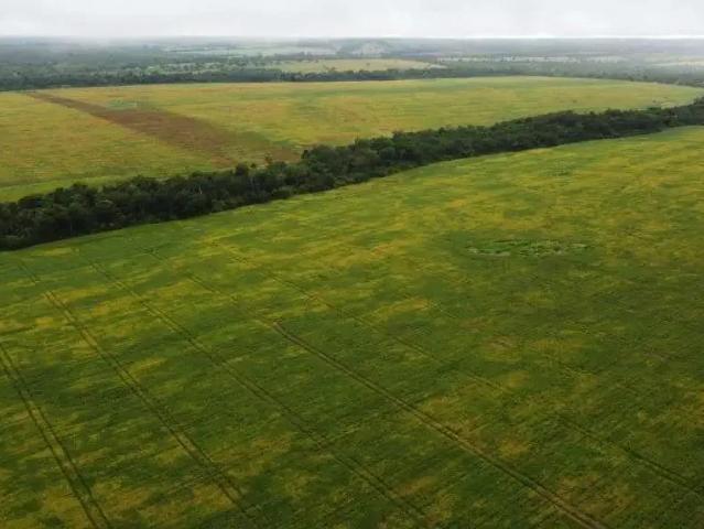 Fazenda para Venda em Abreulândia/TO Zona Rural