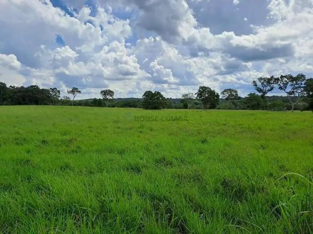 Fazenda para Venda em Acorizal/MT Zona Rural 2 Quartos