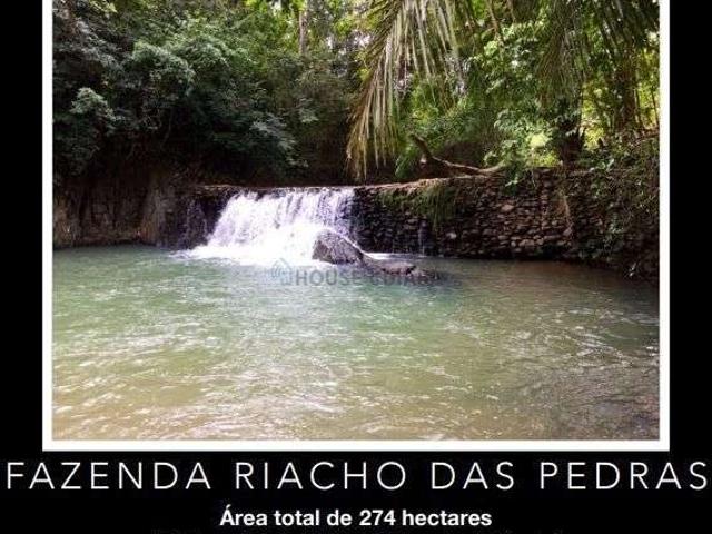 Fazenda para Venda em Acorizal/MT Zona Rural 3 Quartos
