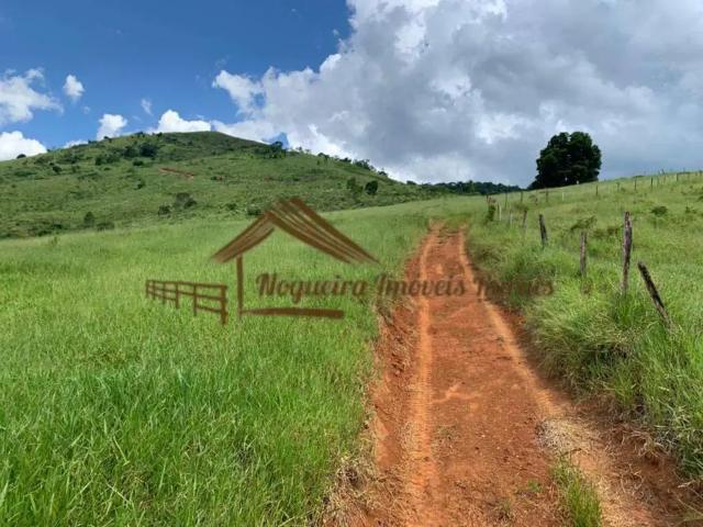 Fazenda para Venda em Adrianópolis/PR Zona Rural