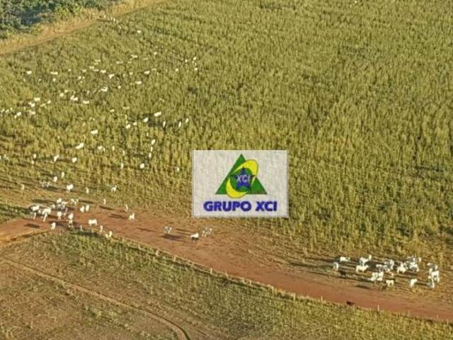 Fazenda para venda em Água Boa